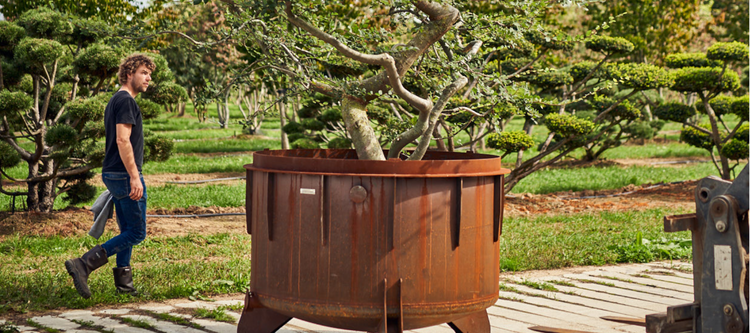 DE KLEIN & VAN HOFF - Realiseer pure verlangens